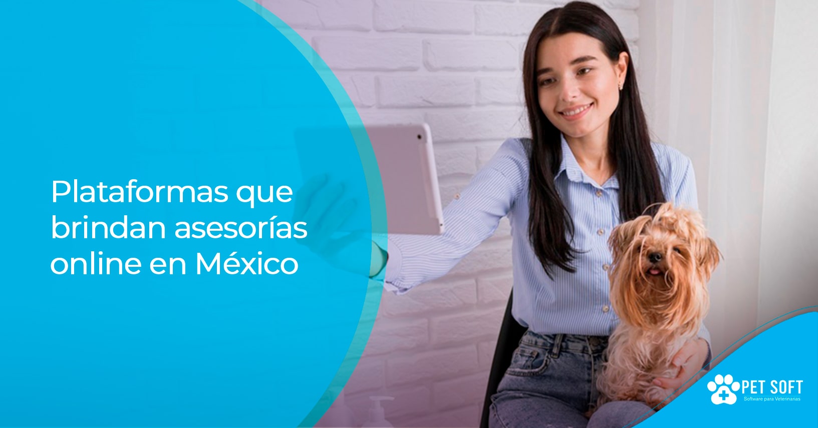 Plataformas que brindan asesorías online en Mexico